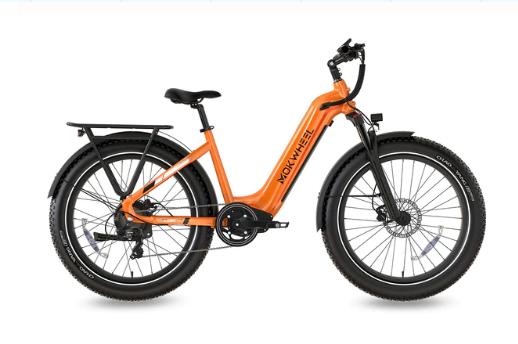 Mokwheel Website Review: Your One-Stop Shop for Electric Bike ...