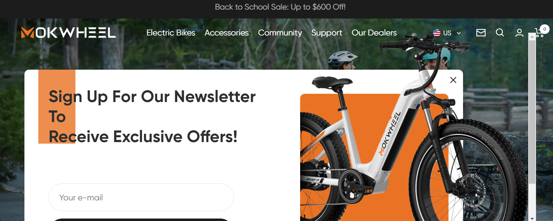 Mokwheel Website Review: Your One-Stop Shop for Electric Bike ...
