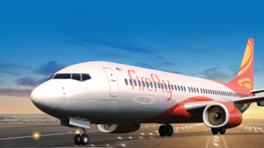 Fireflyz Website Review: A Comprehensive Guide to Booking the Best ...